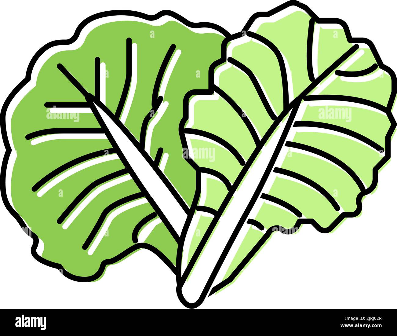 leaf cabbage color icon vector illustration Stock Vector Image & Art ...