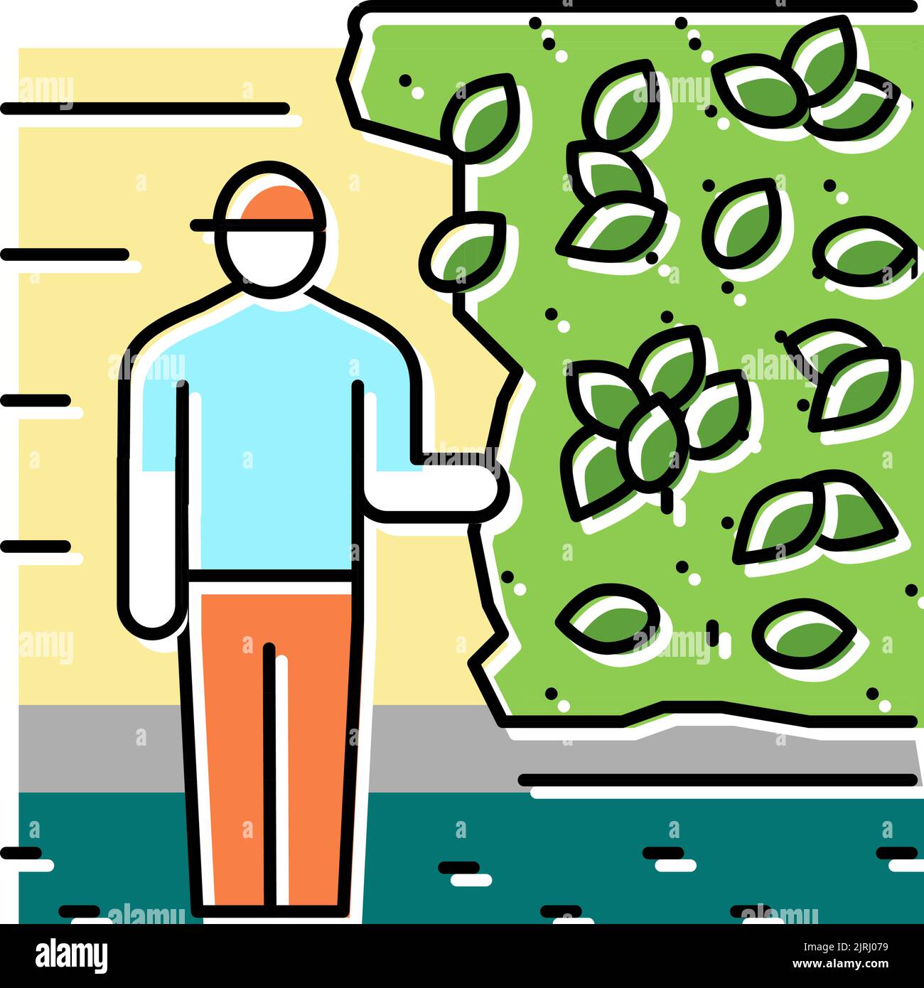 living walls installation color icon vector illustration Stock Vector ...