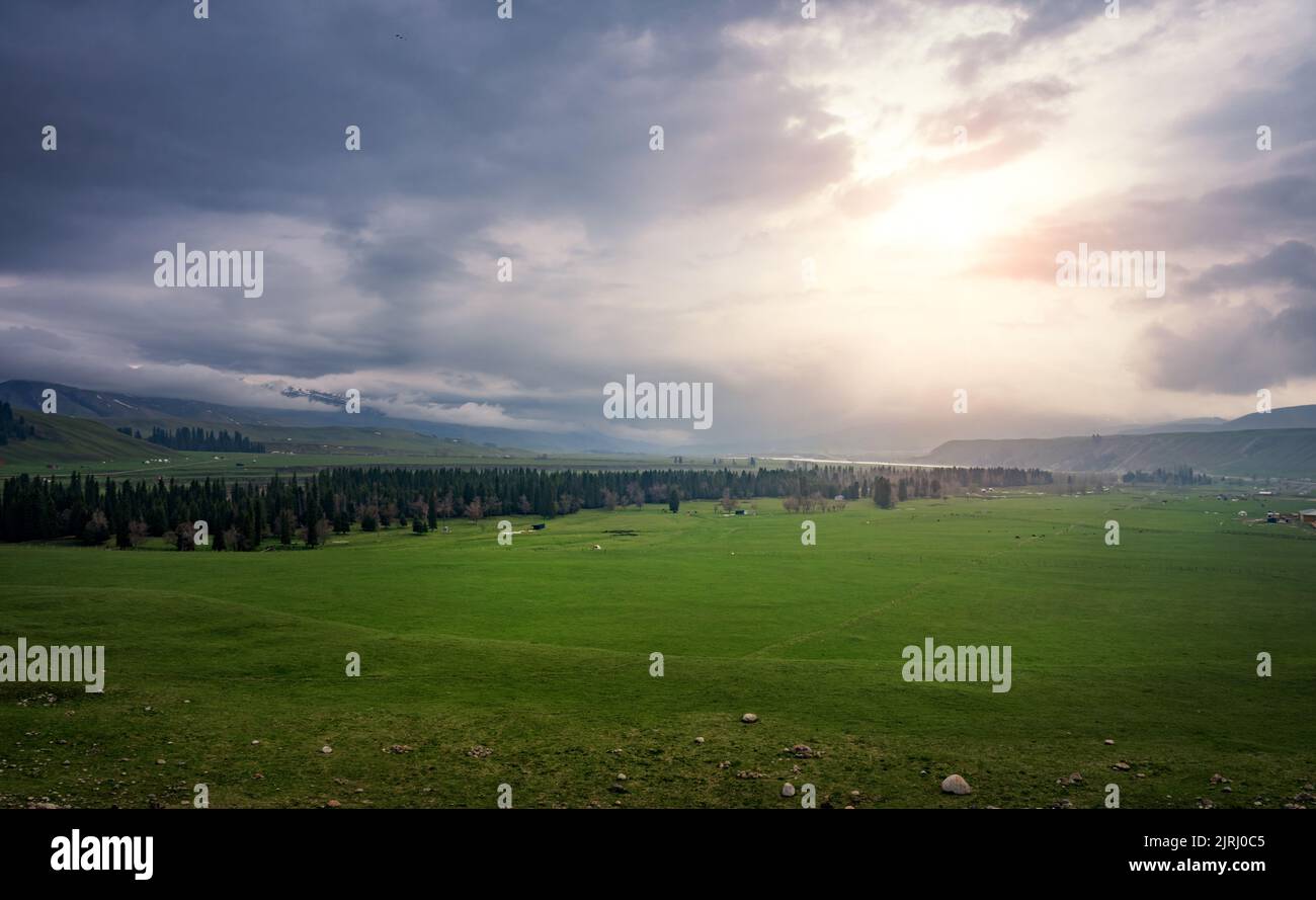 Vast grass field hi-res stock photography and images - Alamy