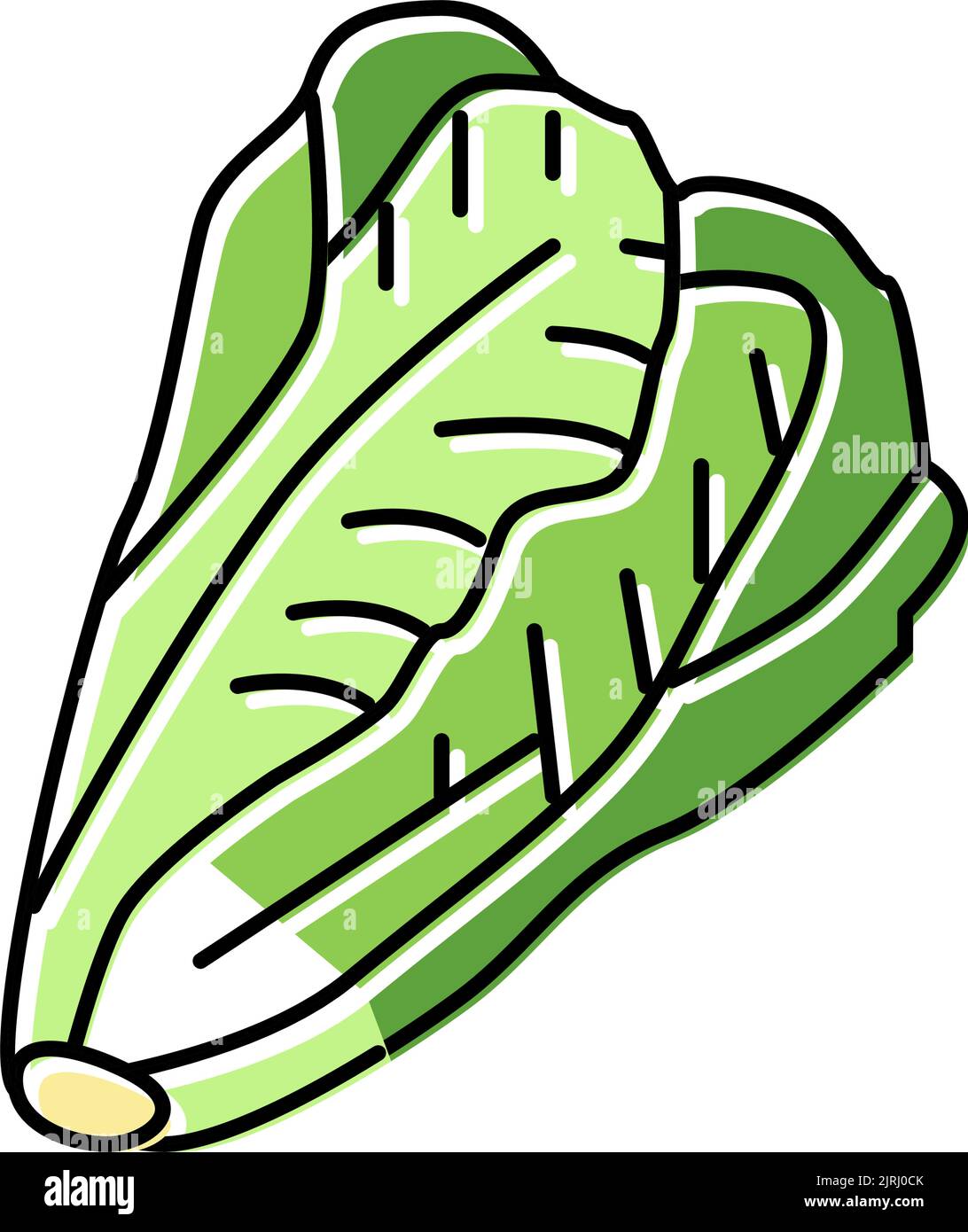 lettuce cabbage color icon vector illustration Stock Vector Image & Art ...
