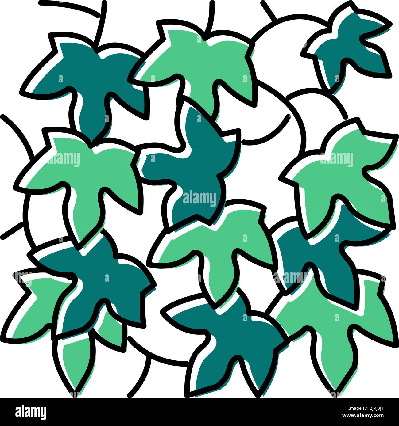 hedera helix color icon vector illustration Stock Vector Image & Art ...