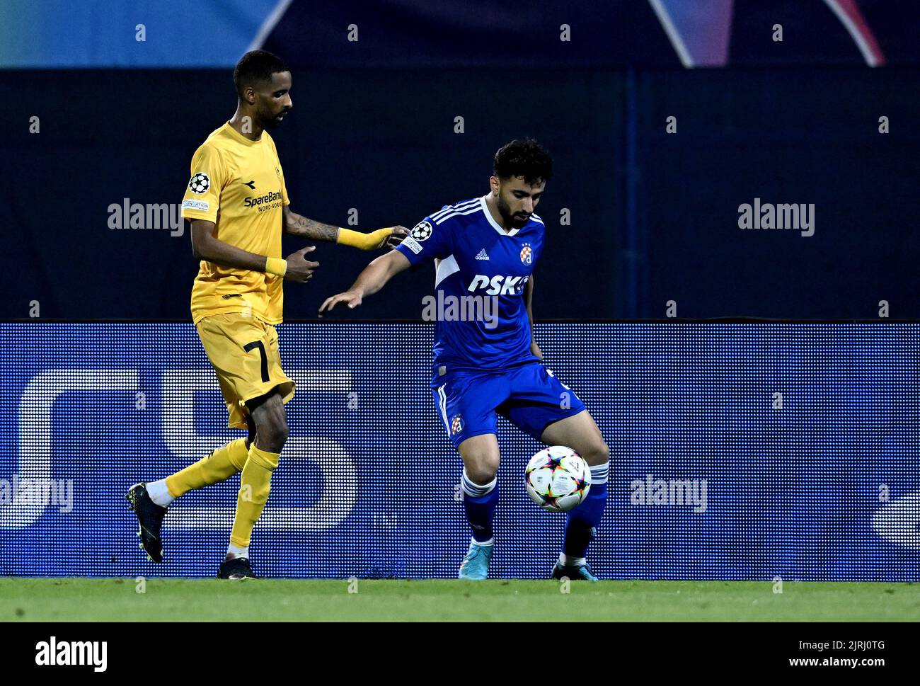 Sadegh Moharrami of Dinamo in action during UEFA Champions League Play ...