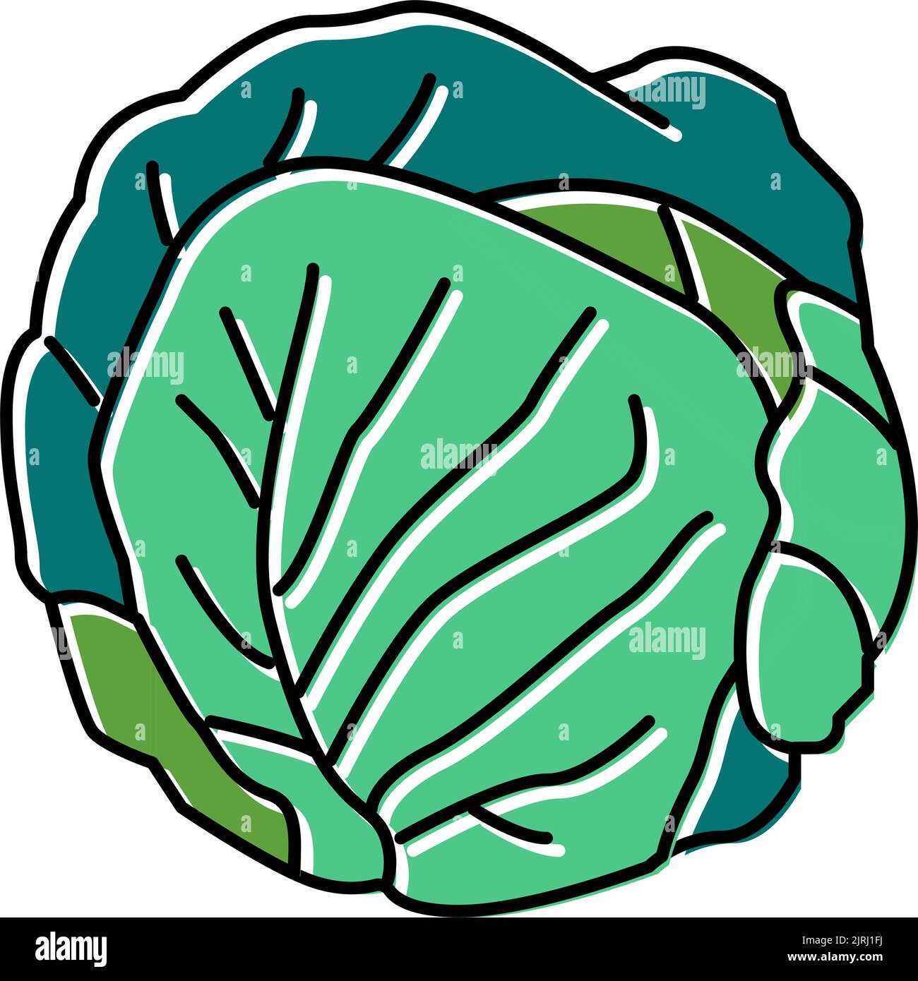 green cabbage color icon vector illustration Stock Vector Image & Art ...
