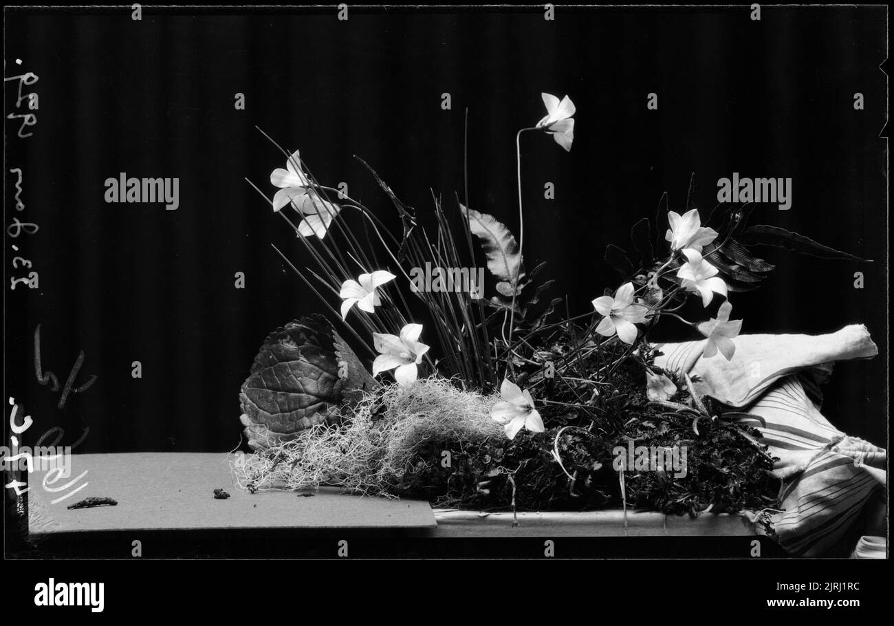 1971 1929 hi-res stock photography and images - Alamy