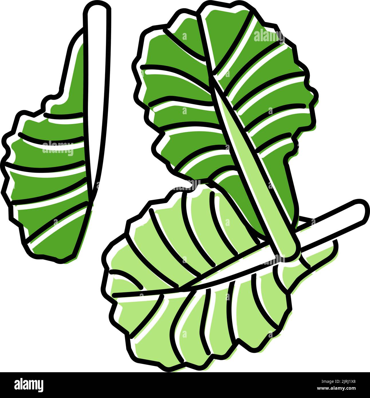 lettuce slice food cut color icon vector illustration Stock Vector ...