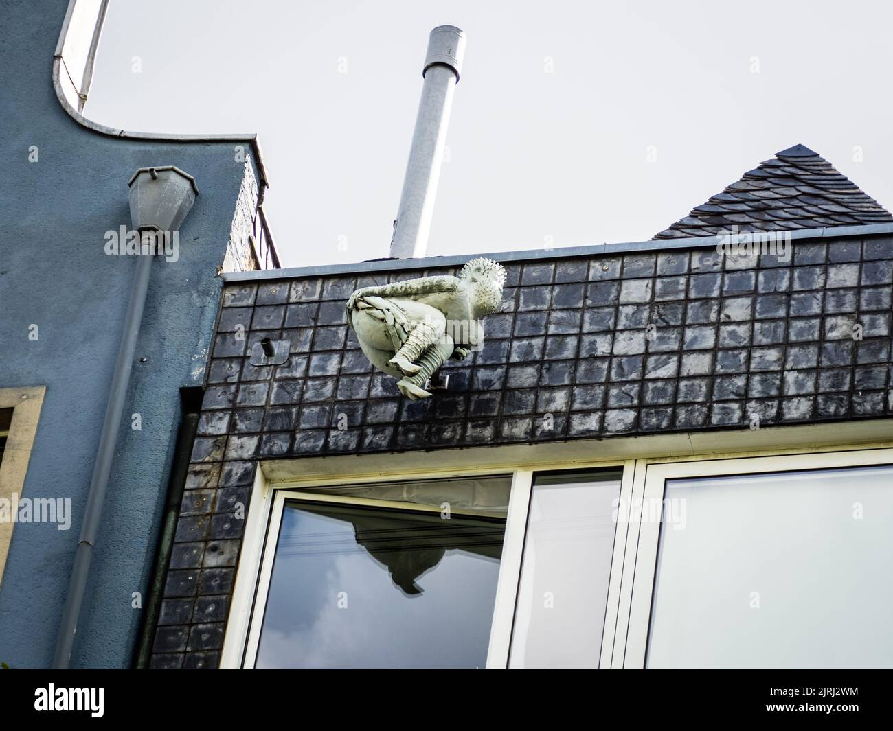 Statue of a person showing his bottom in Cologne, Germany Stock Photo ...