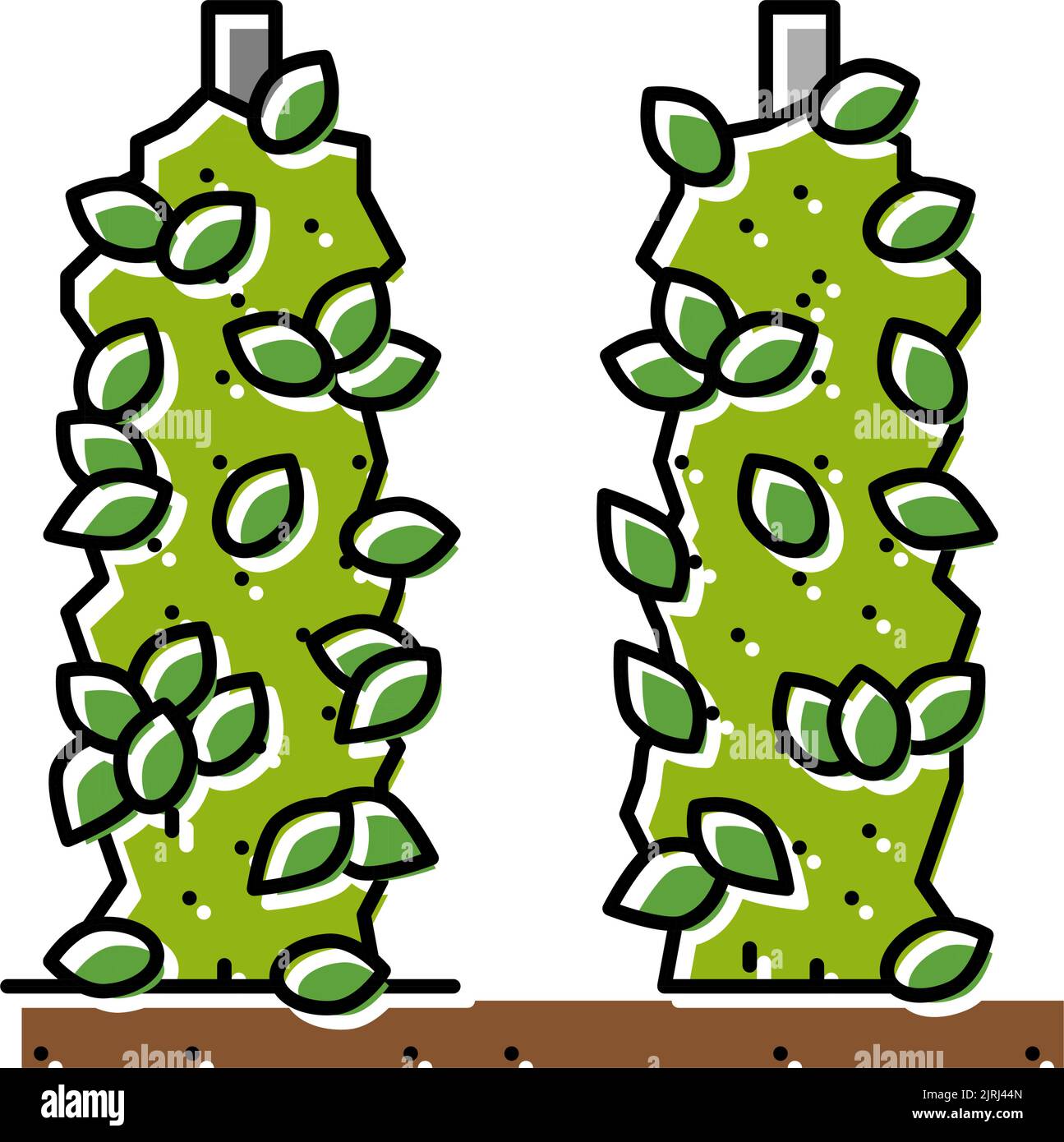 plant growing pepper color icon vector illustration Stock Vector Image ...