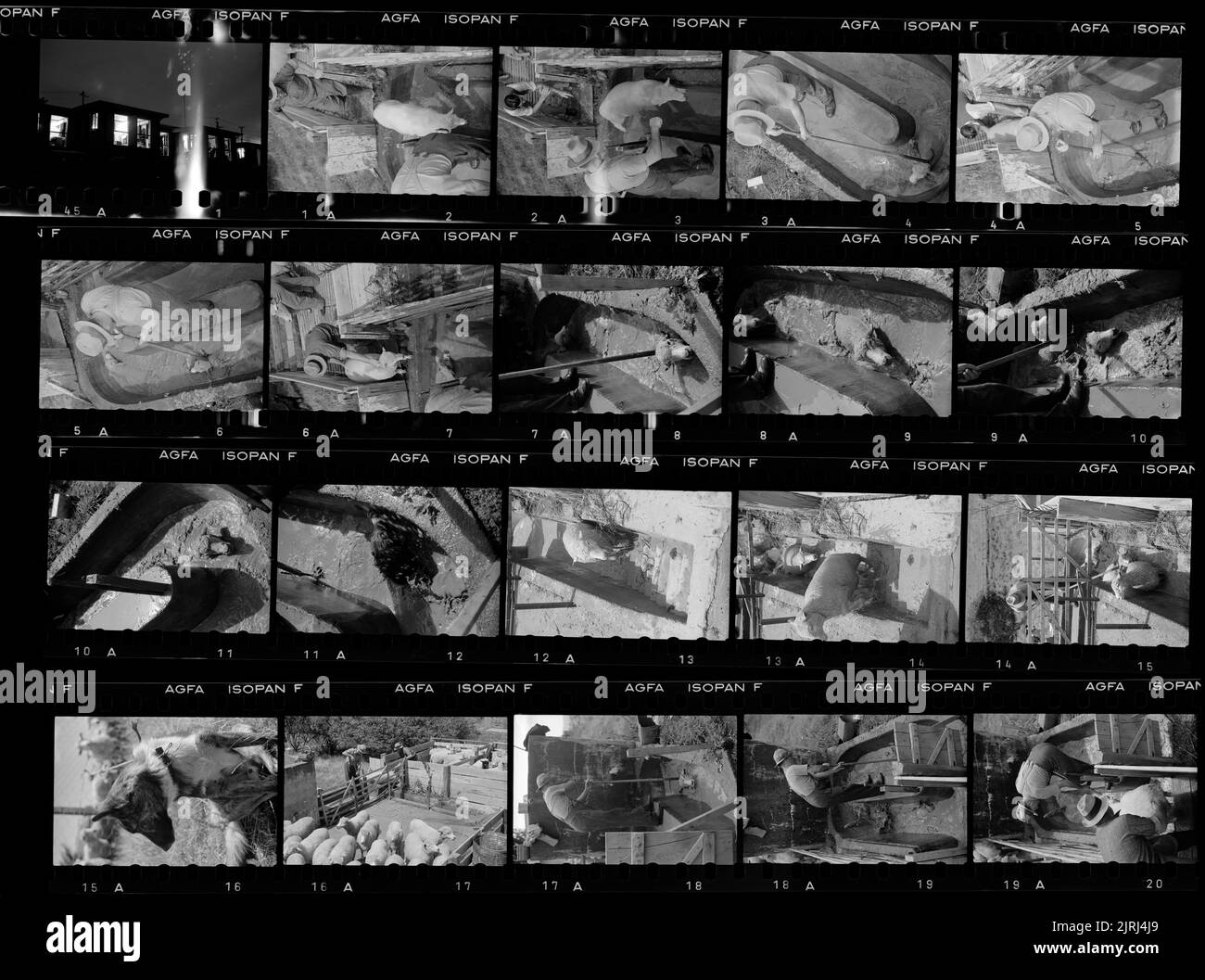 February 1941 Black and White Stock Photos & Images - Alamy