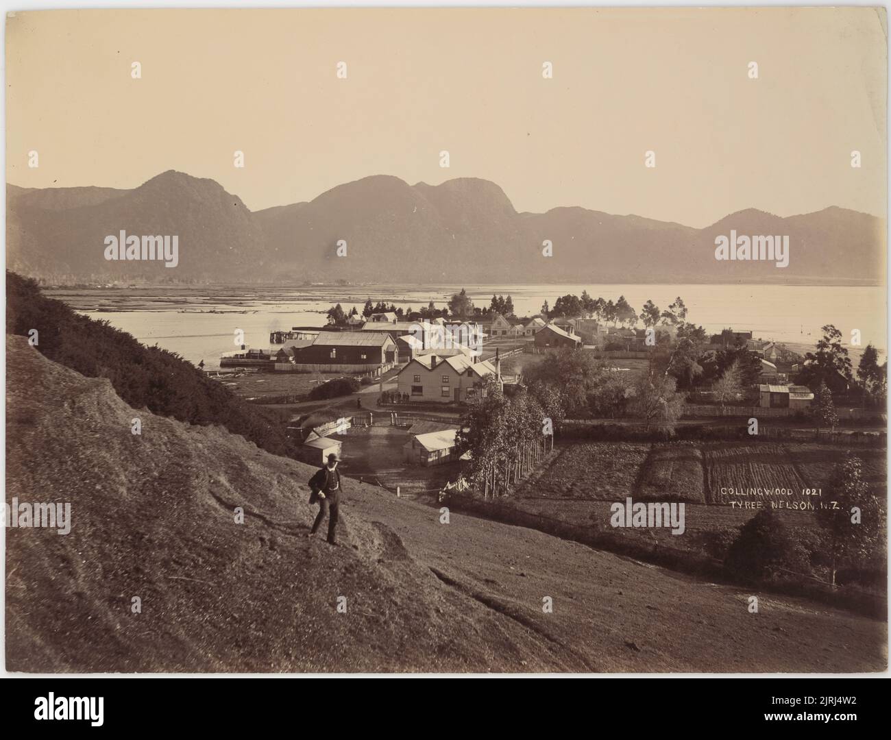 Collingwood, 1880s, Nelson, by Tyree Studio Stock Photo - Alamy