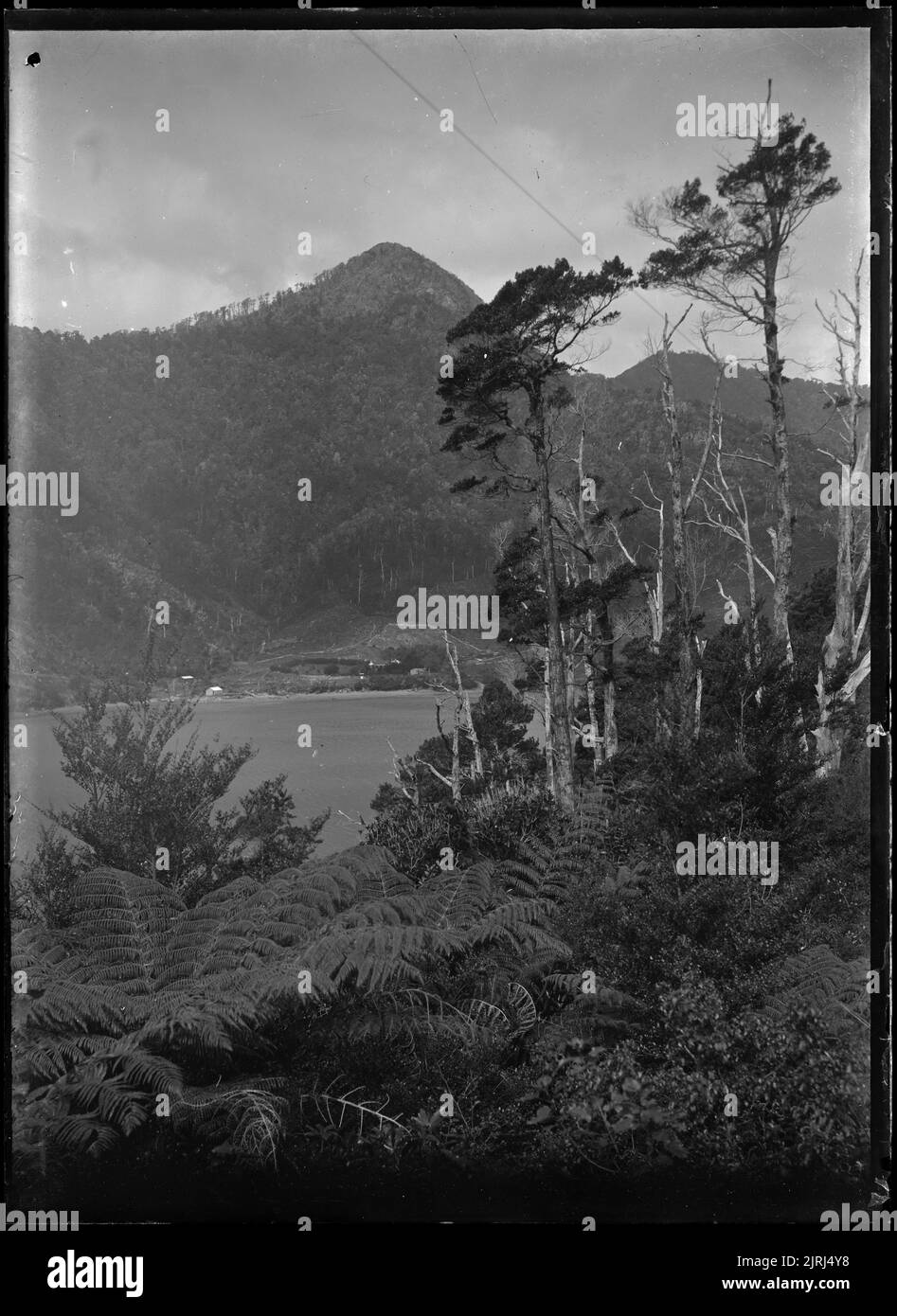 House from a Distance, circa 1908, by Fred Brockett Stock Photo - Alamy
