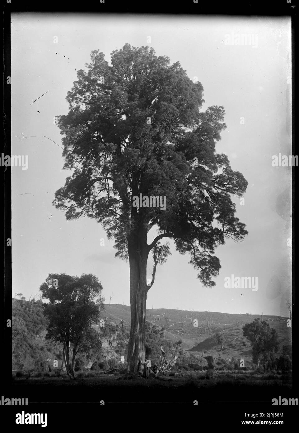 Landscape in rural setting Black and White Stock Photos & Images - Alamy