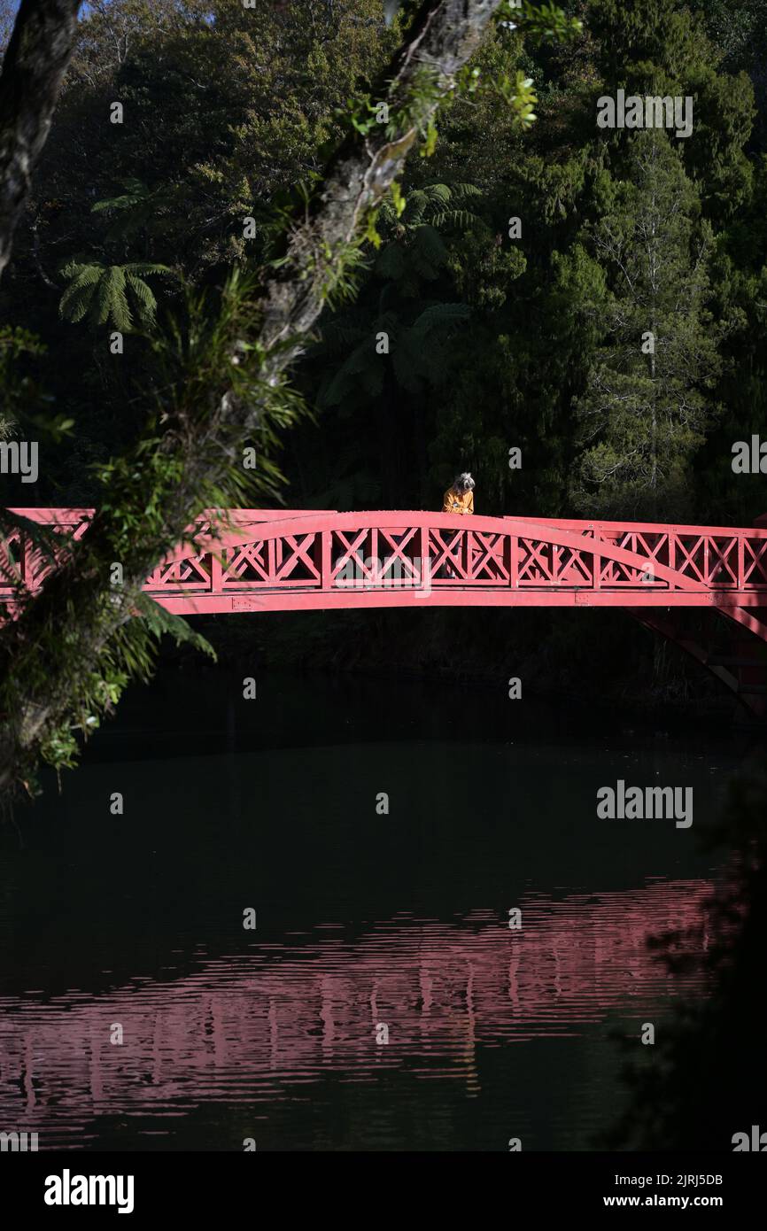 Red Bridge, makes a beautiful reflection in the Lake below, the forest ...