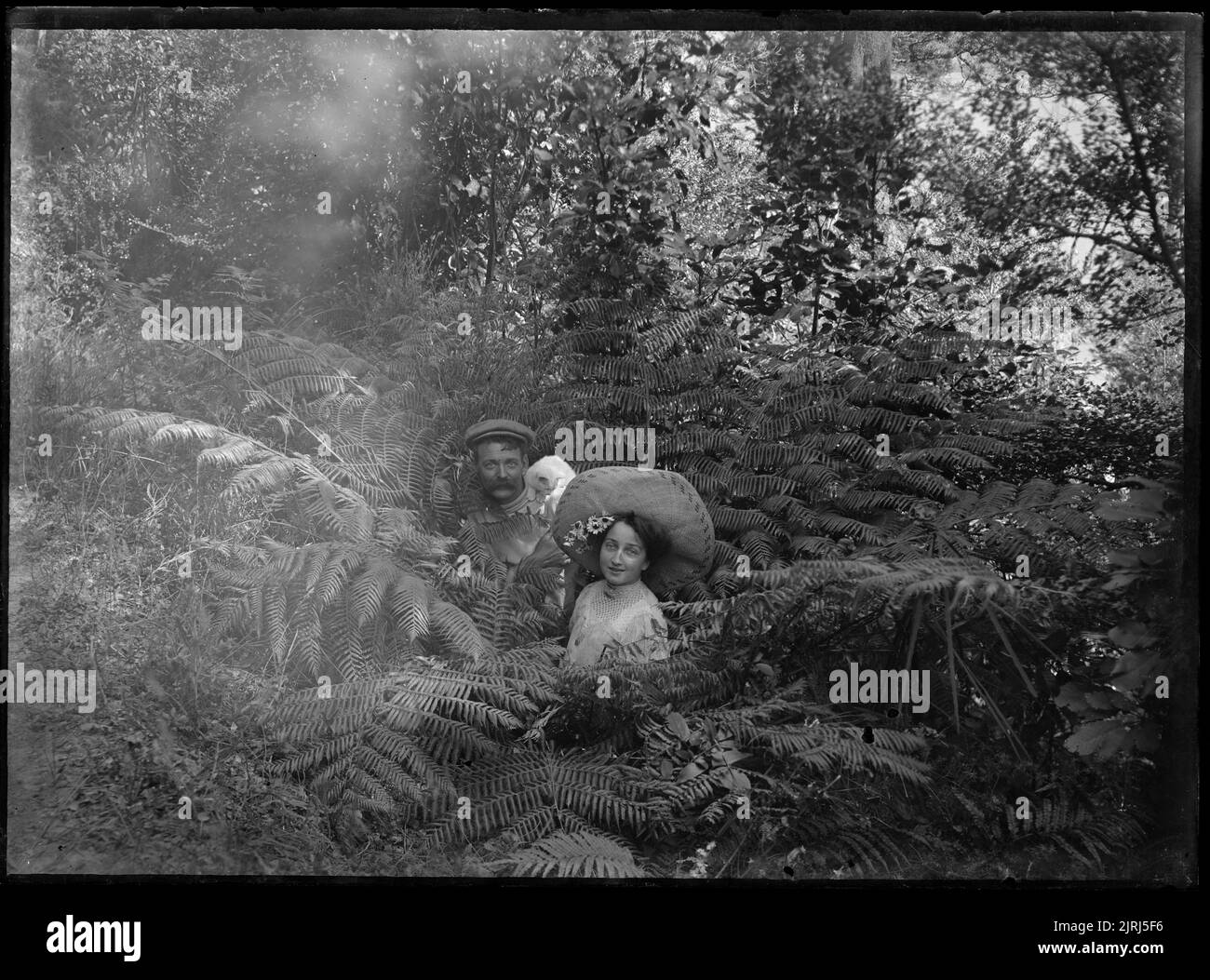 Woman and beast among the tree ferns man hi-res stock photography and ...