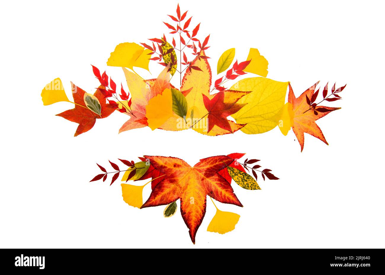 Autumn fall frames borders. Fall leaf banner. Thanksgiving background ...