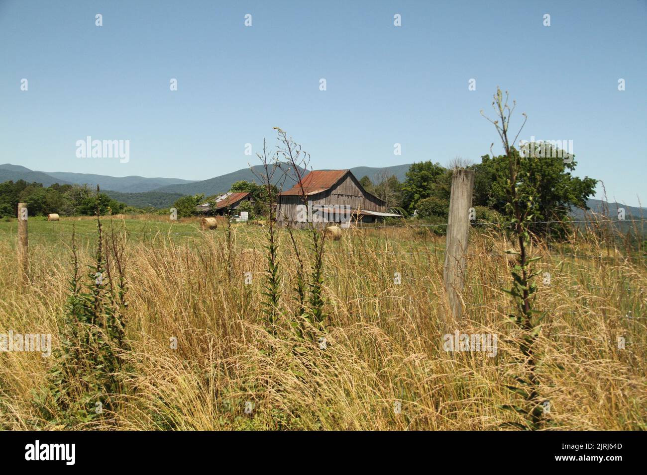 Virginias piedmont hi-res stock photography and images - Alamy