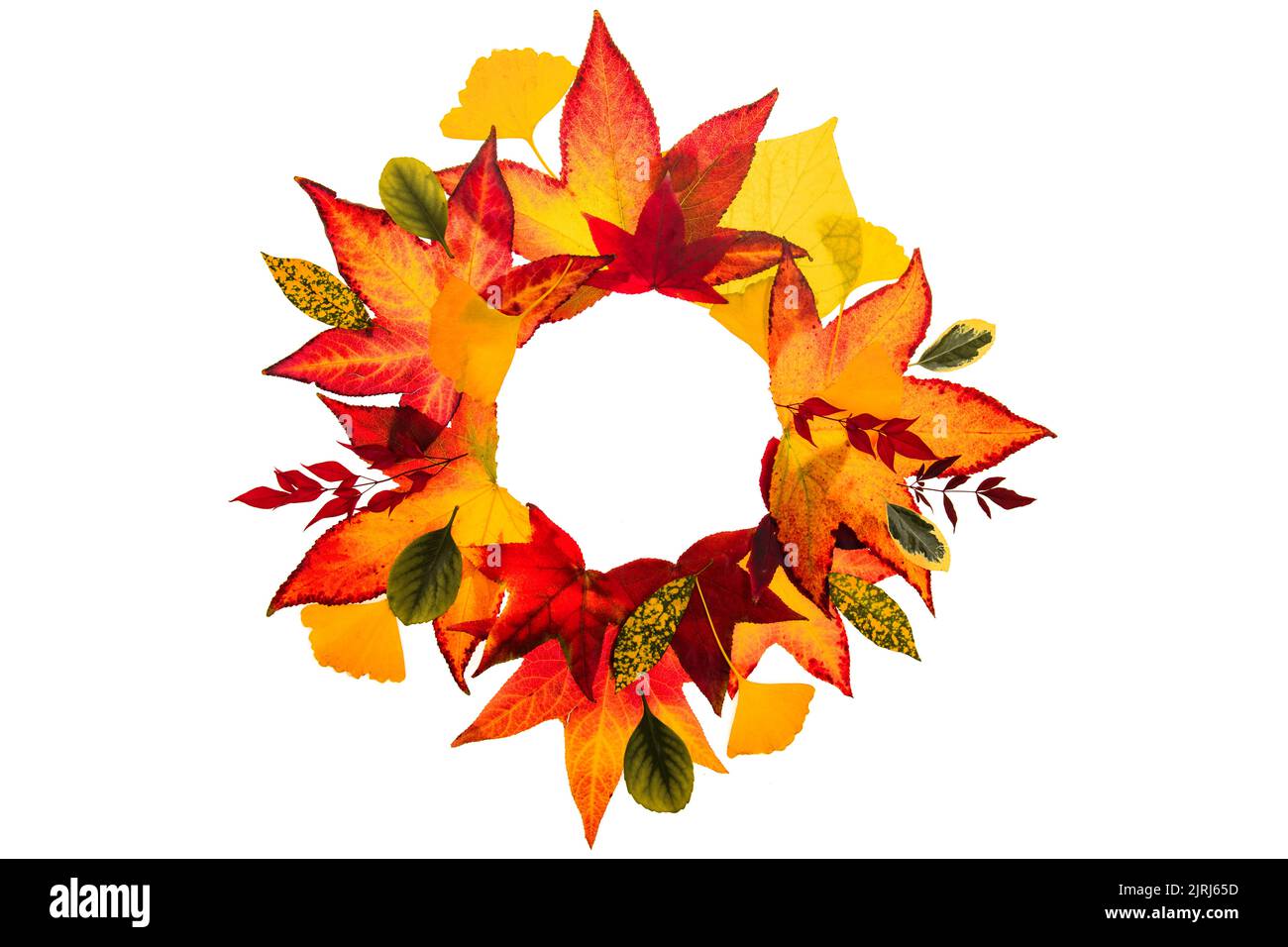 Autumn frame for design banners, leaflets, posters with space for your ...