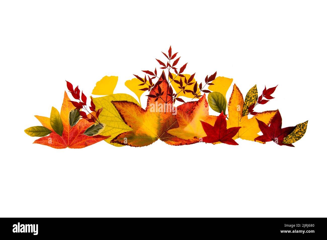 Frame for sale. Thanksgiving background, fall design, texture for flyer ...