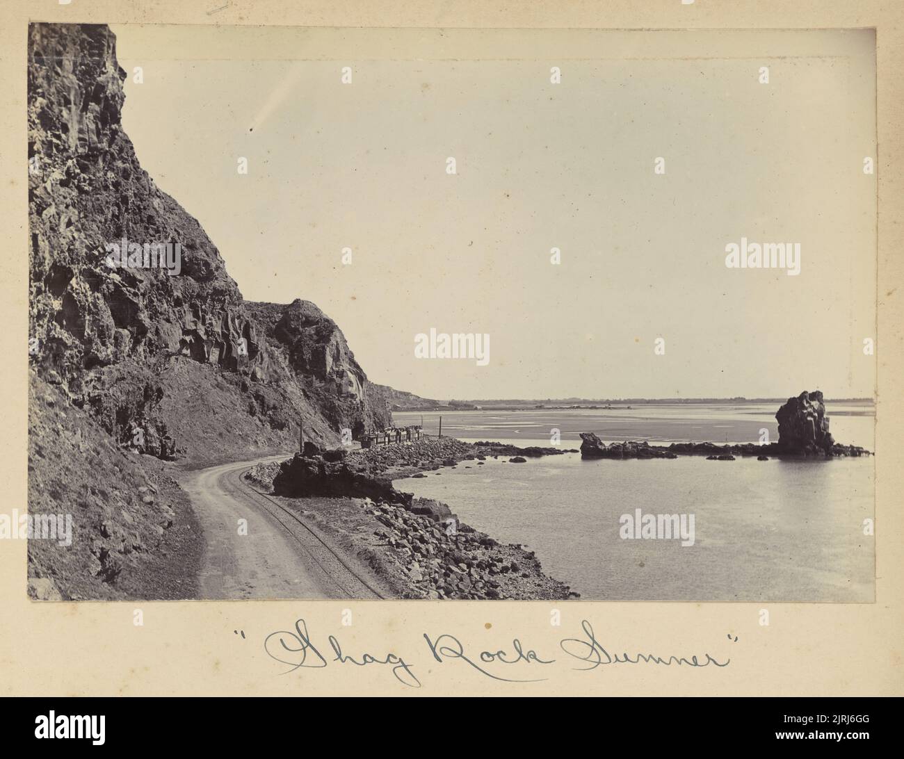 Shag rock sumner hi-res stock photography and images - Alamy