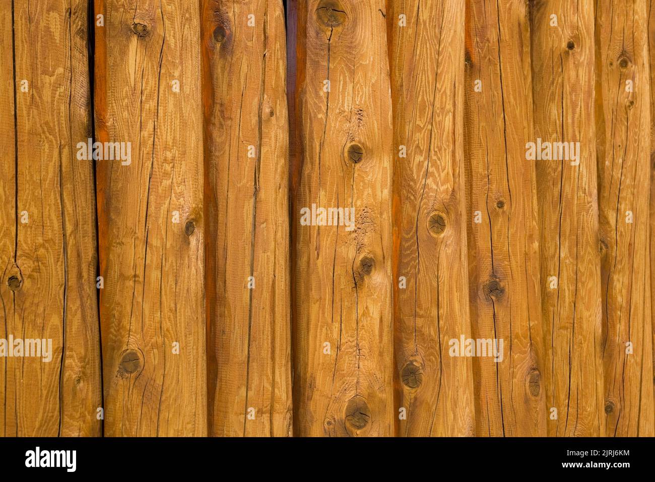 Close-up of stained pine wood log wall Stock Photo - Alamy