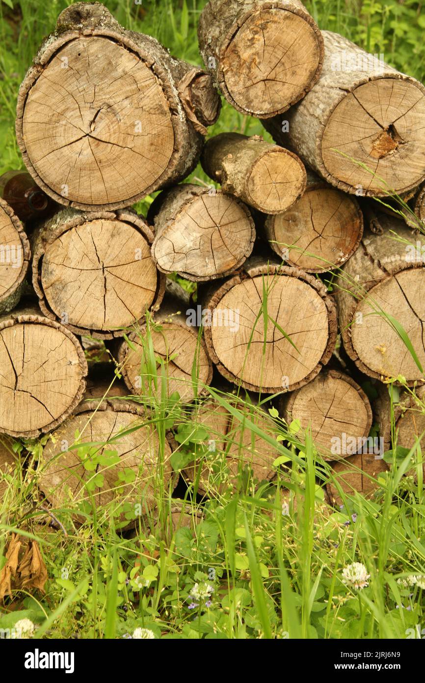 Pile of cut wood for fire Stock Photo - Alamy