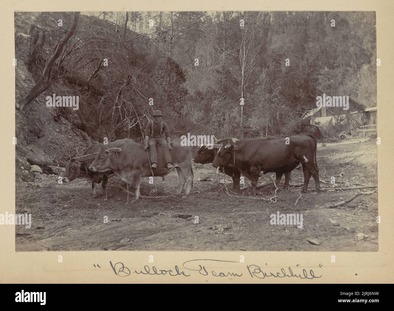 Bulloch team hi-res stock photography and images - Alamy