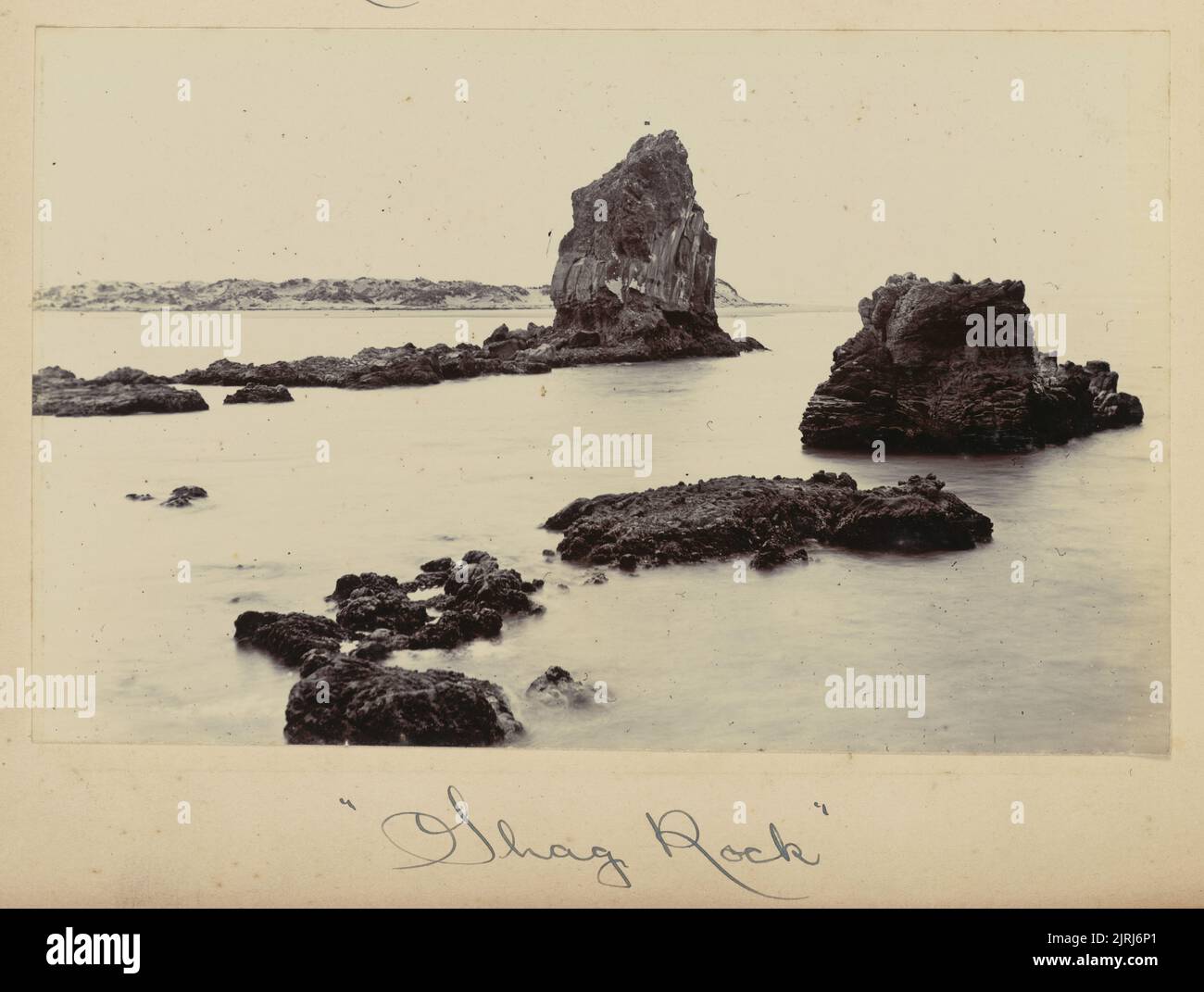 Shag rock sumner hi-res stock photography and images - Alamy