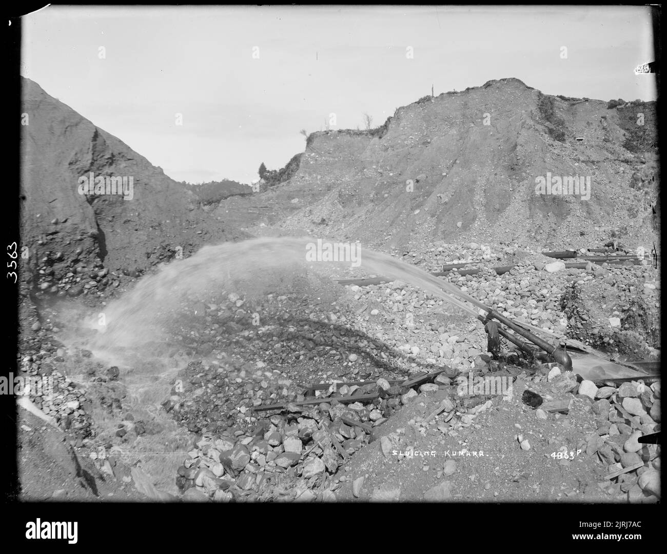 Kumara new zealand hi-res stock photography and images - Alamy