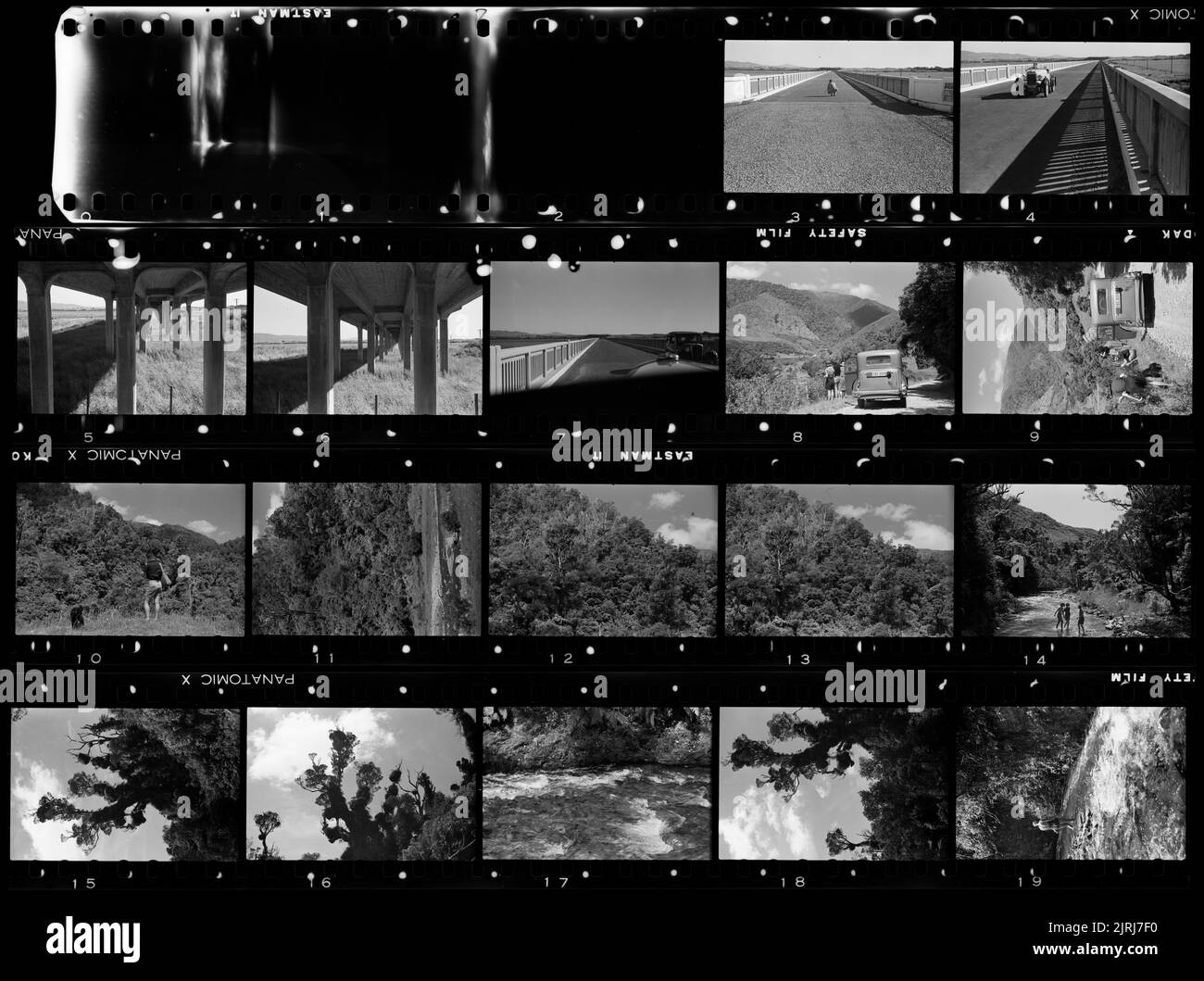 Views of a bridge, river bathers and native bush, January 1940, New ...