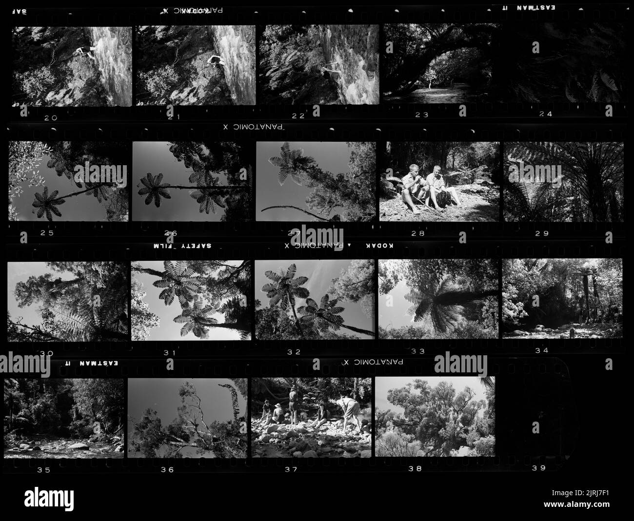 1940 new zealand Black and White Stock Photos & Images - Alamy