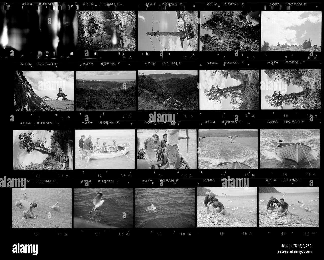 Bush landscapes and beach scenes, January 1940, New Zealand, by Eric ...