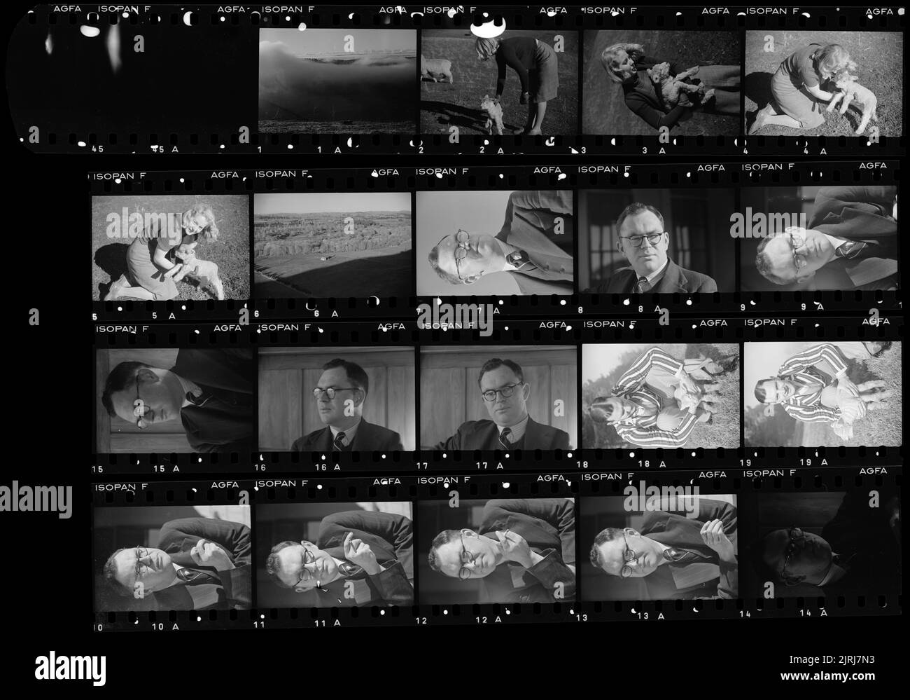 Portraits and scenes with animals, Waipukurau, August 1940, Hawkes Bay ...