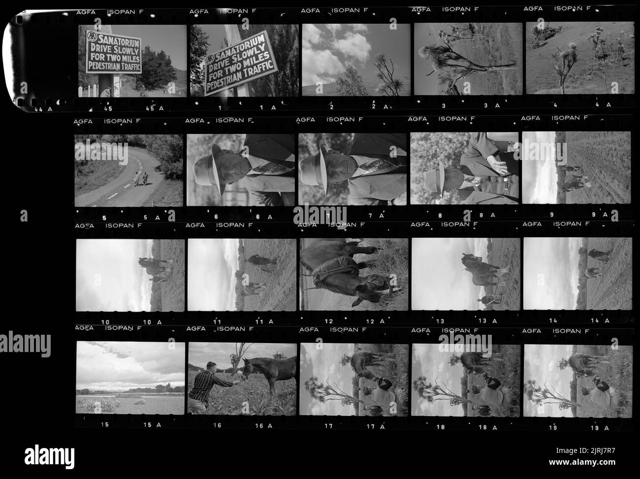 Portraits and country scenes, Pukeora, Waipukurau, November 1940 ...