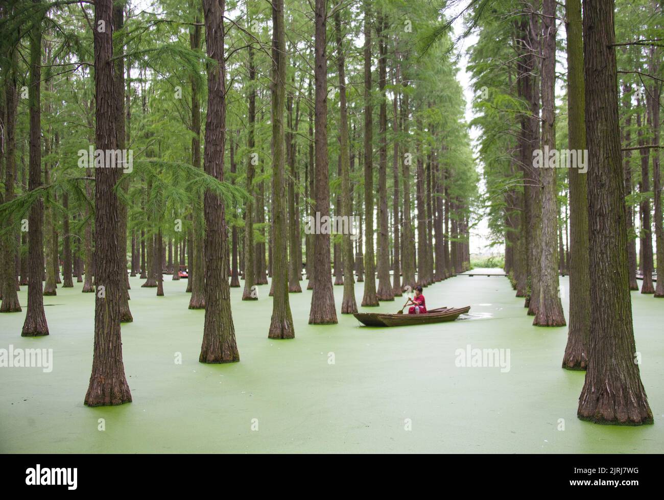 YANGZHOU, CHINA - AUGUST 24, 2022 - Tourists play at Luyang Lake ...