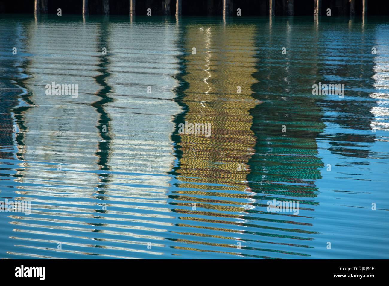 Picture by Tim Cuff - 6 July 2022 - Port Nelson scenes, Nelson, New ...