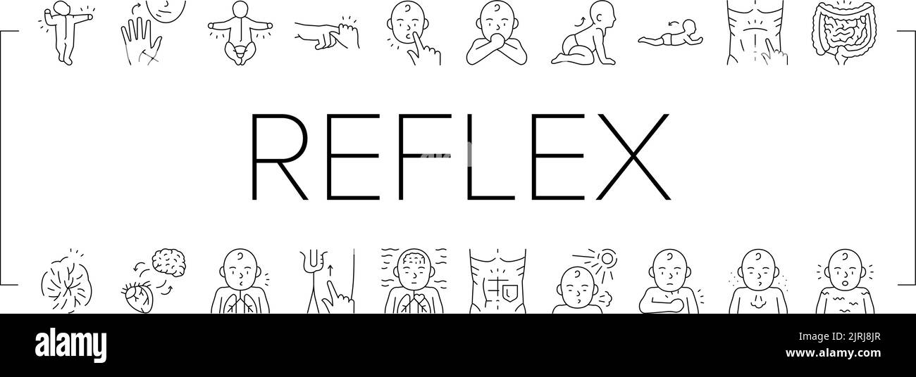 Reflex Of Human Neurology System Icons Set Vector Stock Vector Image ...