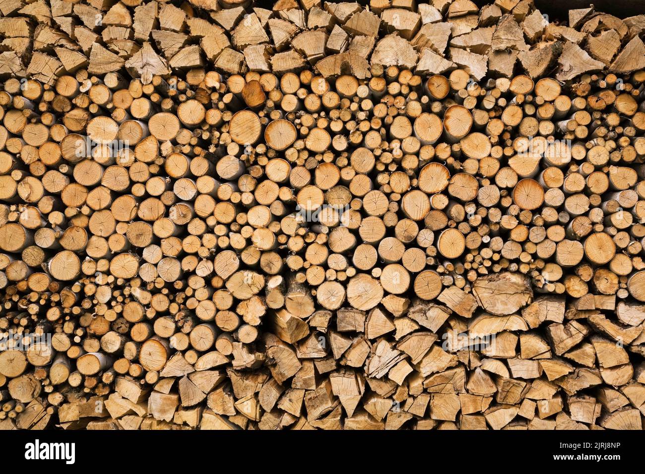 Close-up of stacked firewood logs Stock Photo - Alamy