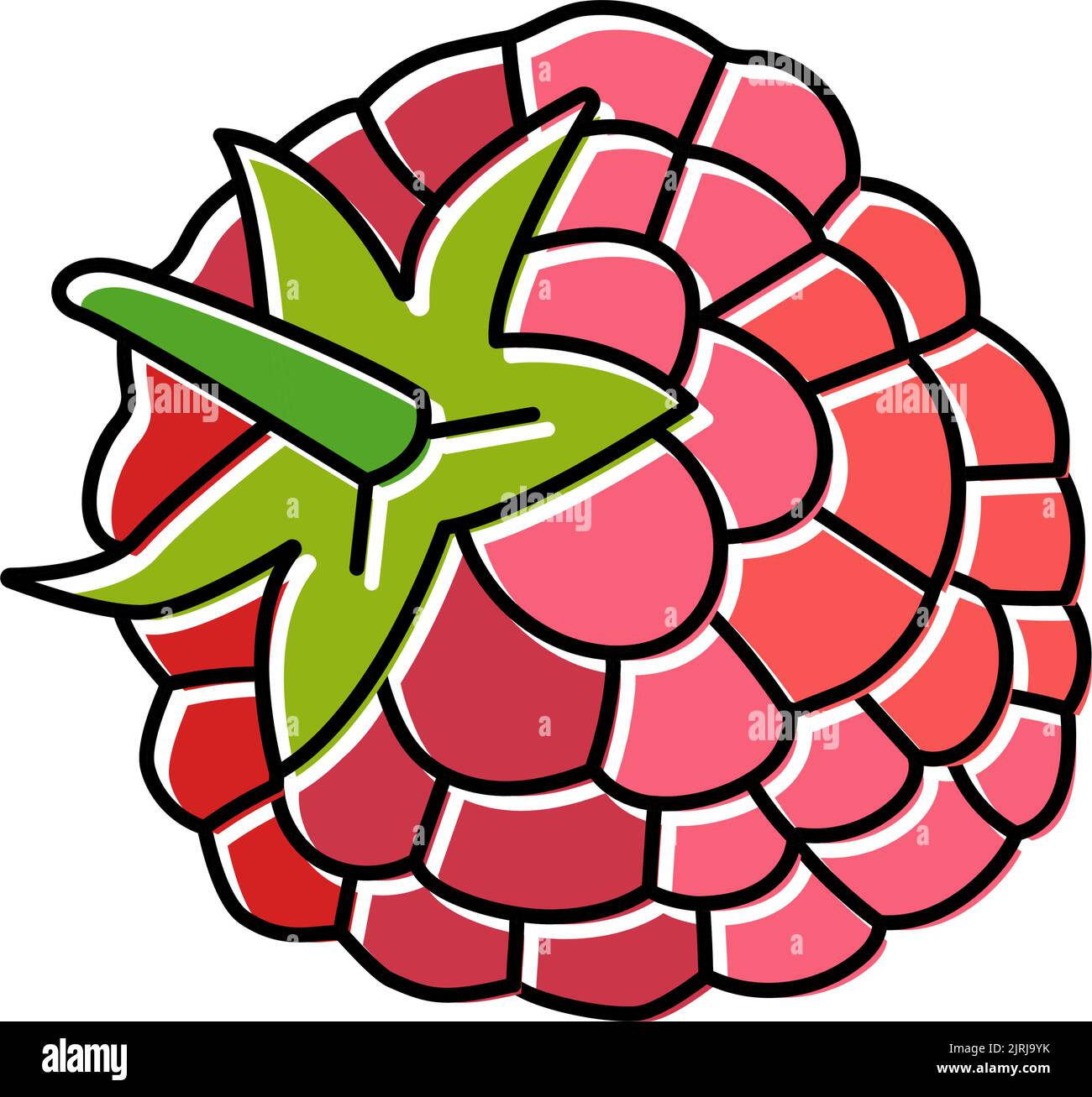raspberry leaf berry color icon vector illustration Stock Vector Image ...