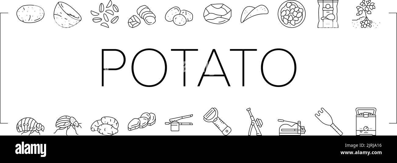 potato vegetable food raw fresh icons set vector Stock Vector Image ...