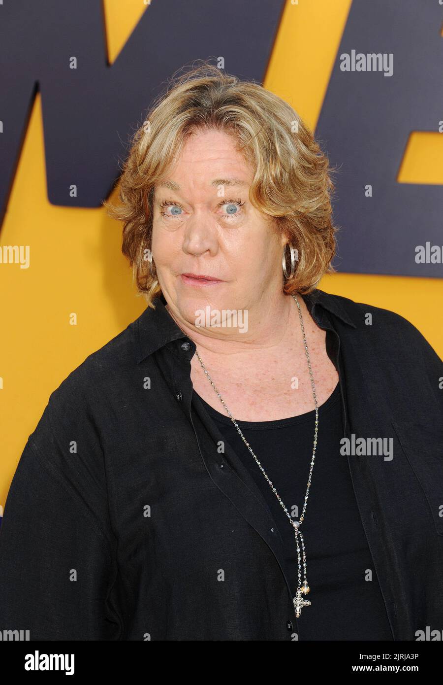 LOS ANGELES, CA - AUGUST 23: Diane Delano attends the Los Angeles ...