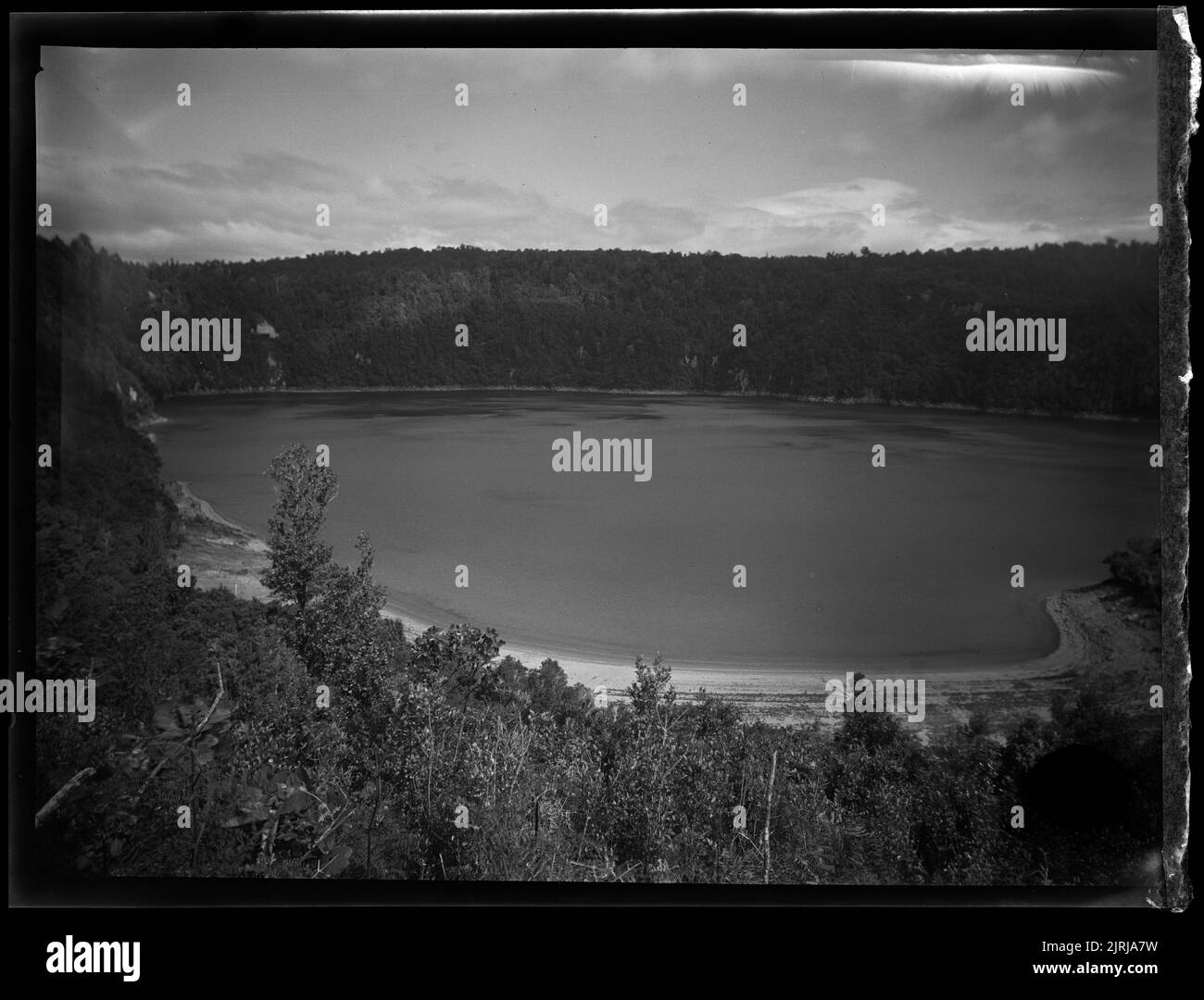 Bay of Plenty lake scenery, January 1934, Bay of Plenty, by J.W ...
