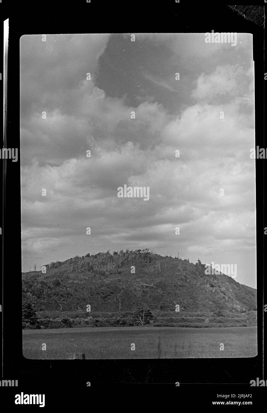 North Island landscape scene, 1940s, New Zealand, by J.W. Chapman ...