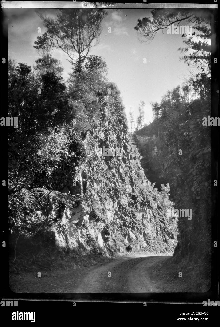 The path that leads to the the sunset, Little Akatarawa, 1940s, North ...