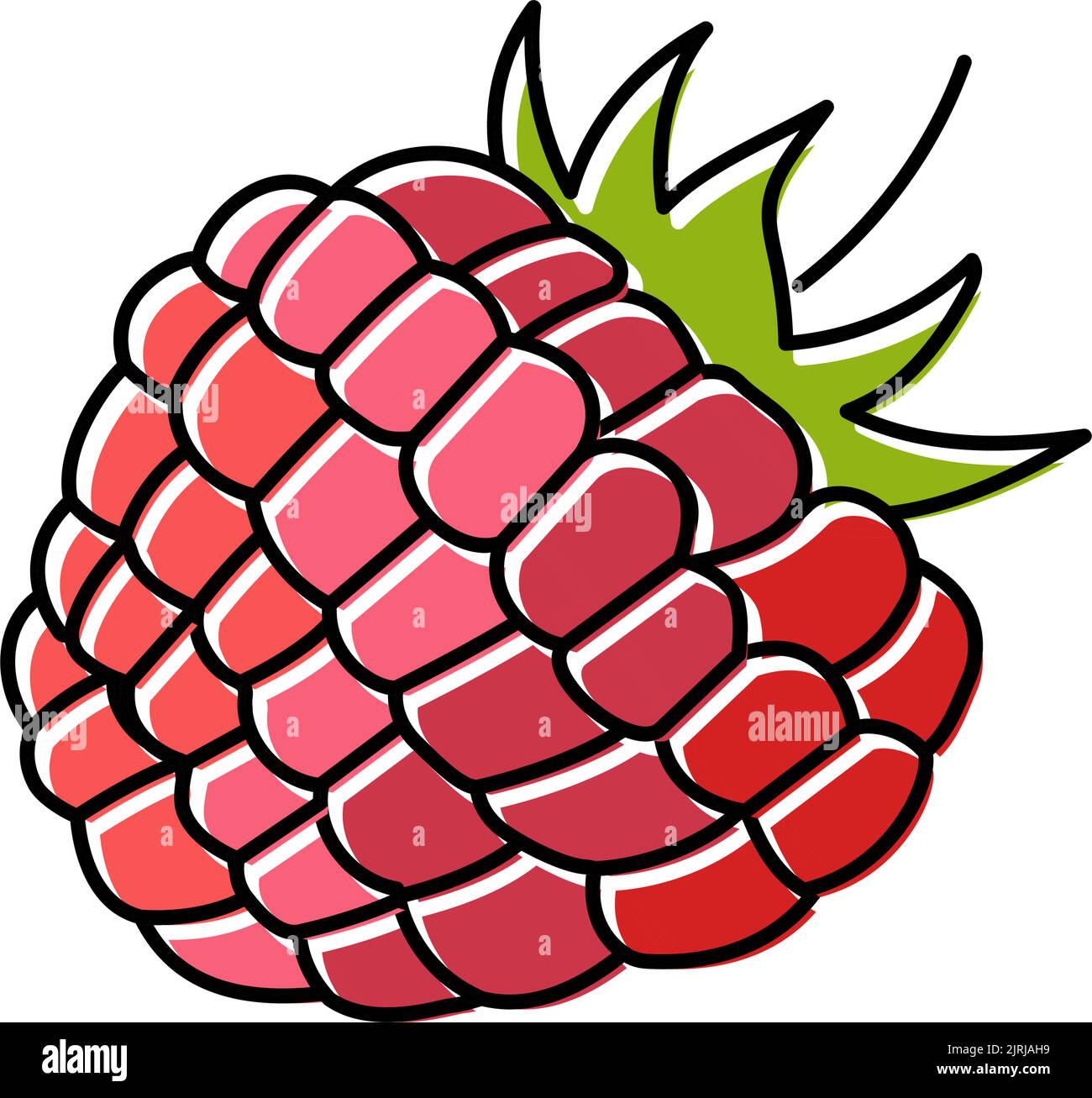 raspberry berry leaf color icon vector illustration Stock Vector Image ...