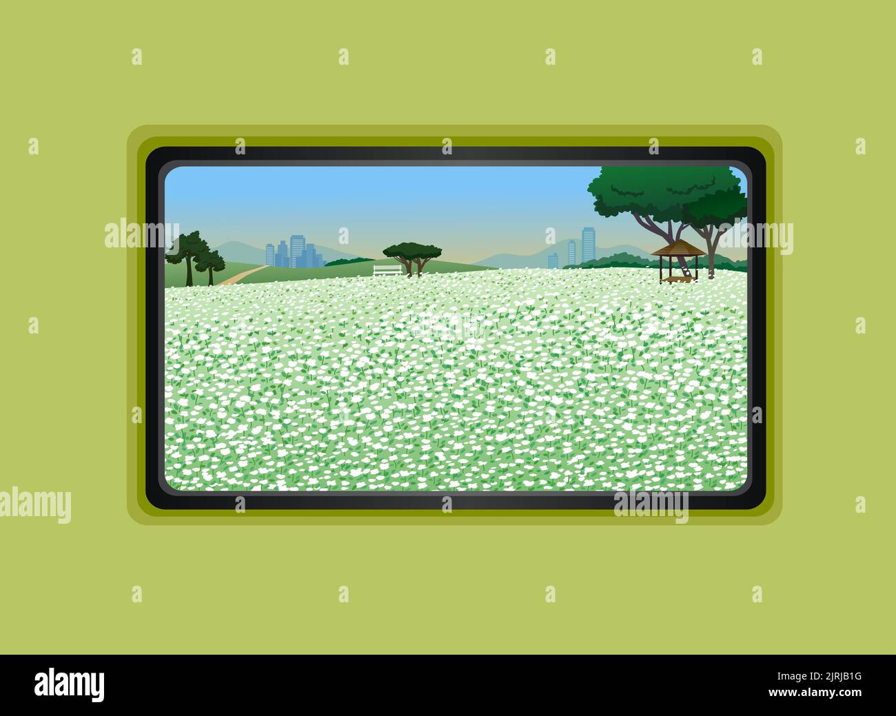 buckwheat flower landscape, scenery from train window Stock Photo - Alamy