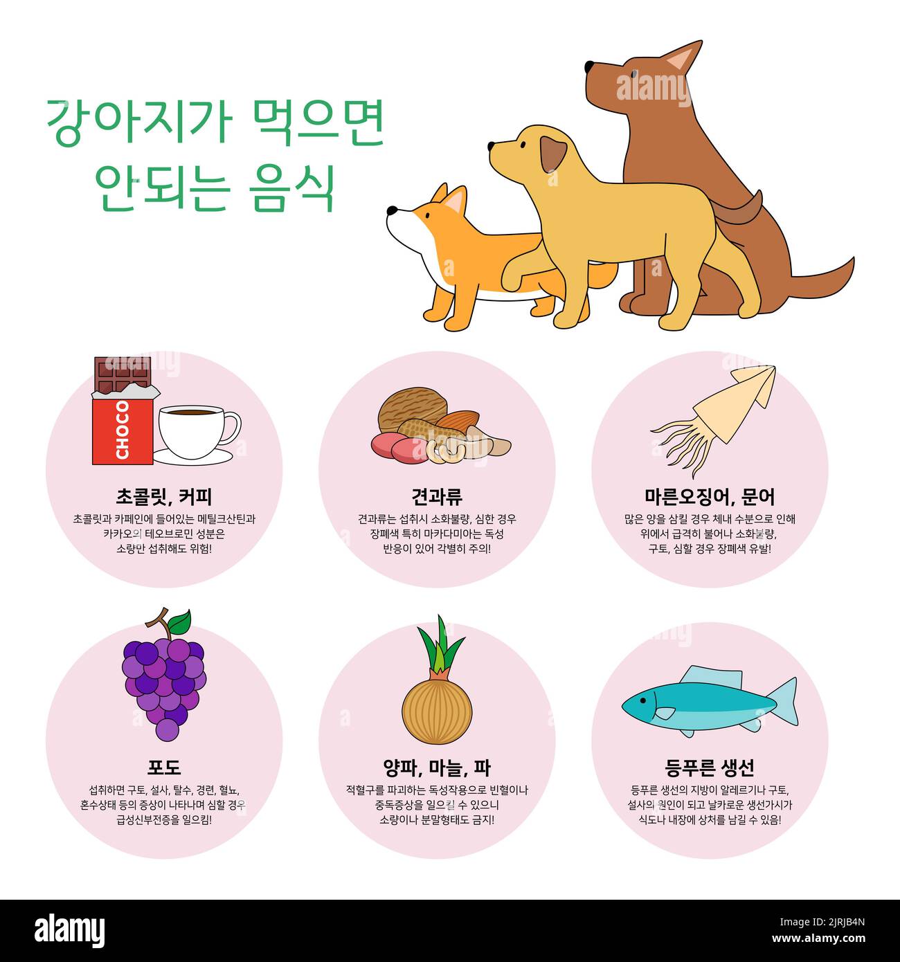 pet infographics drawing forbidden foods for dogs Stock Photo - Alamy pet infographics drawing forbidden foods for dogs Stock Photo - Alamy