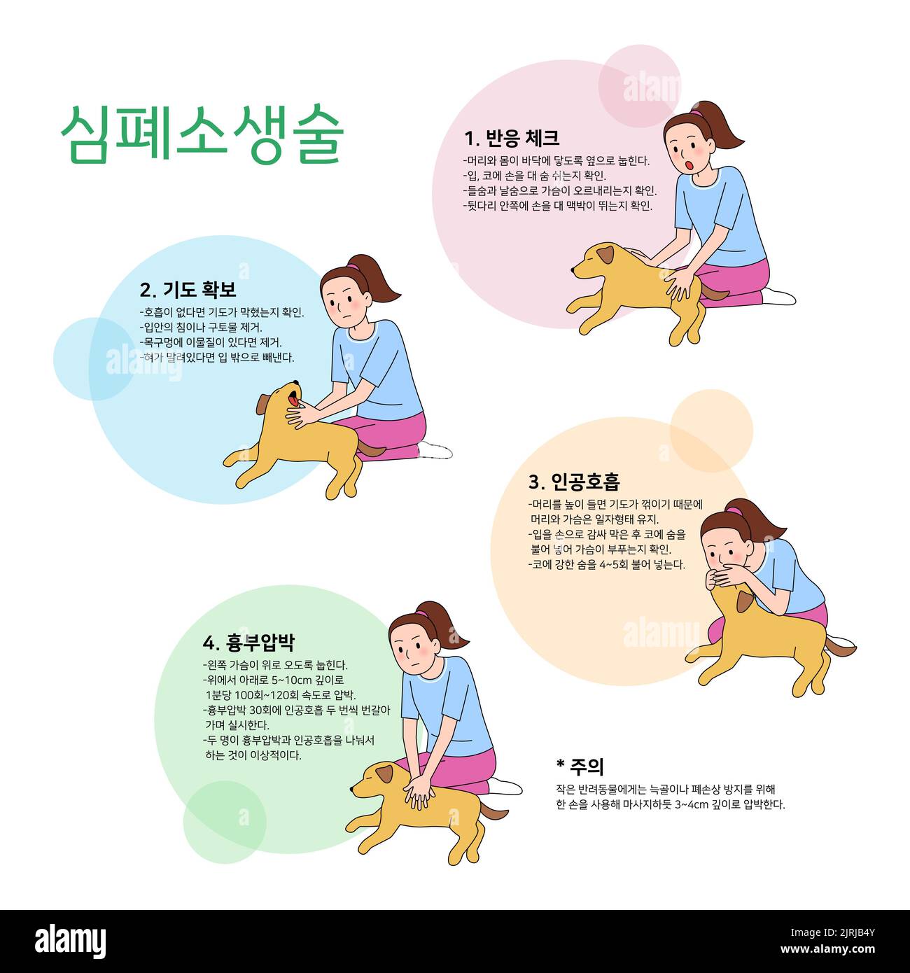 pet infographics drawing CPR emergency treatment Stock Photo - Alamy