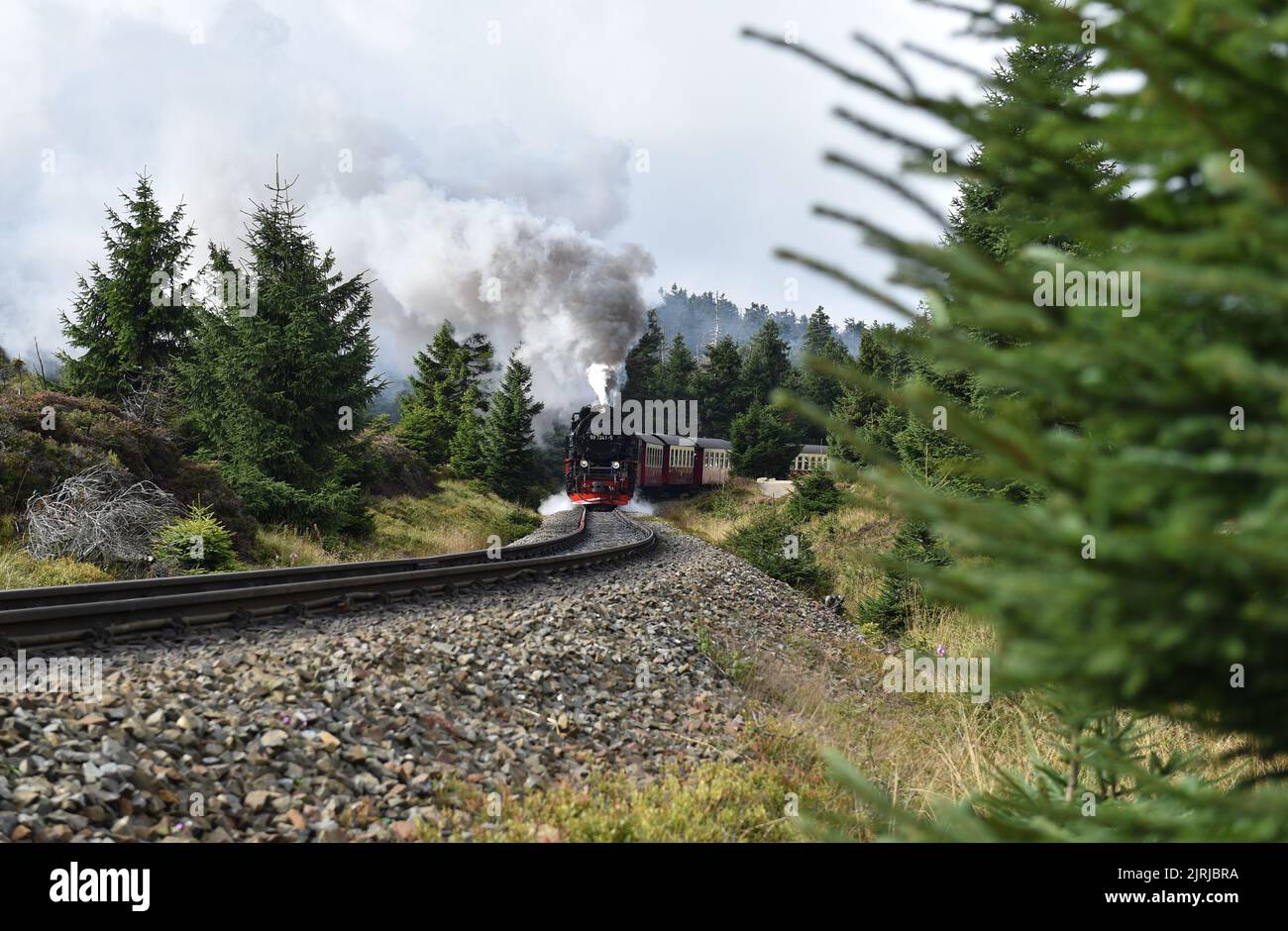 Harz narrow gauge train ride hi-res stock photography and images - Alamy
