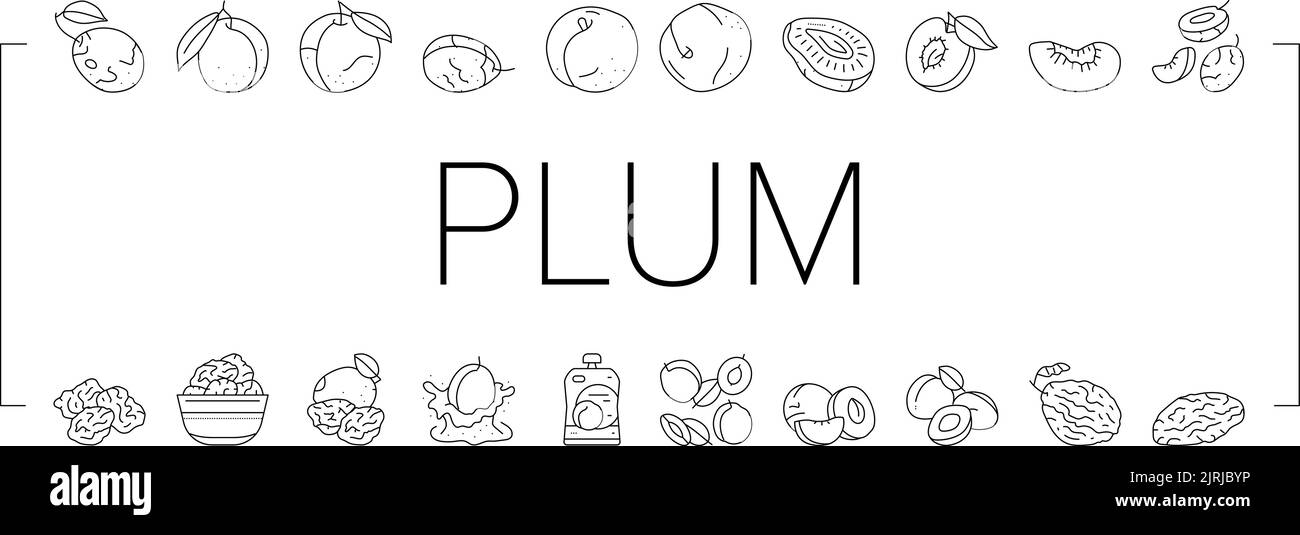 plum fruit green red prune icons set vector Stock Vector Image & Art ...