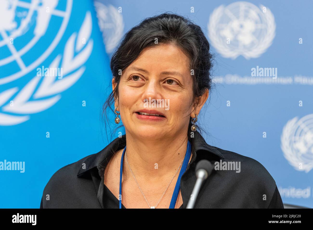 New York, NY - August 24, 2022: Belize Ambassador Janine Felson attends ...