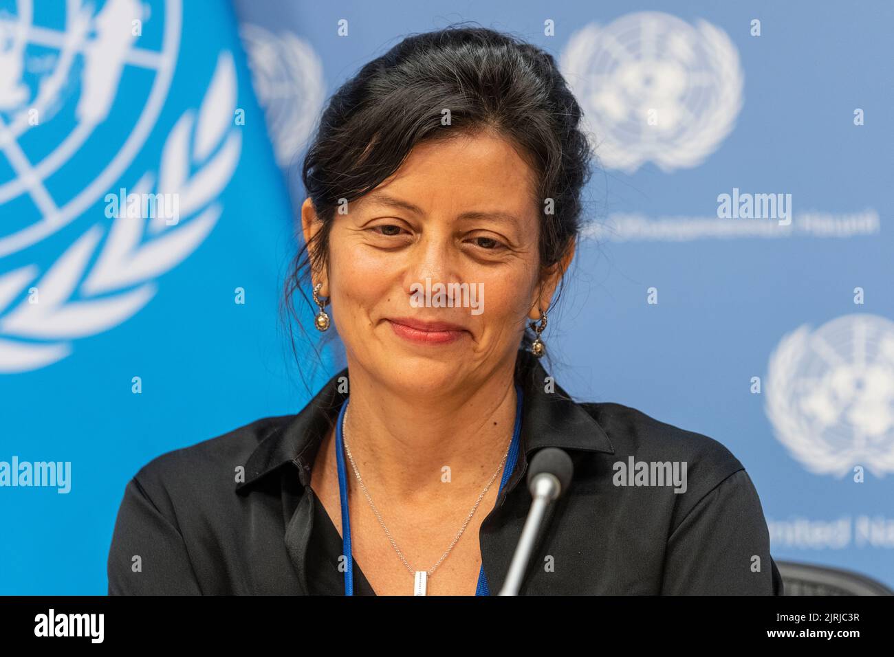 New York, NY - August 24, 2022: Belize Ambassador Janine Felson attends ...
